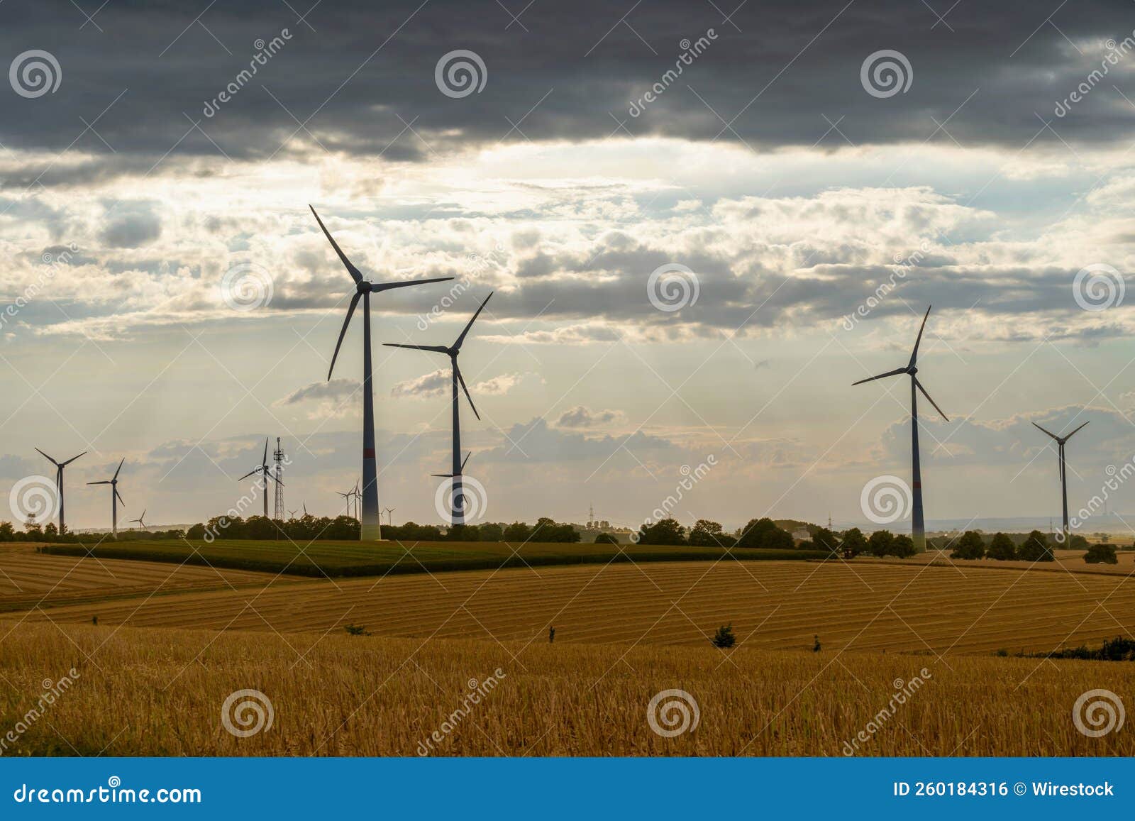 Field of Wind Turbines on a Cloudy Day Stock Photo - Image of trees ...