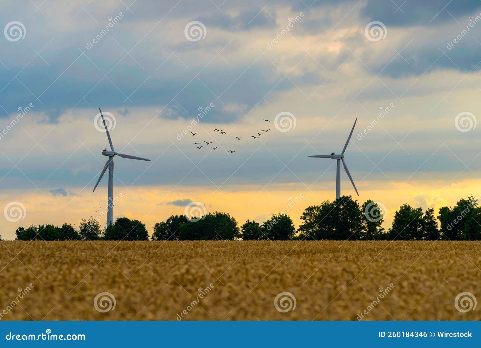 Field of Wind Turbines on a Cloudy Day Stock Photo - Image of wind ...