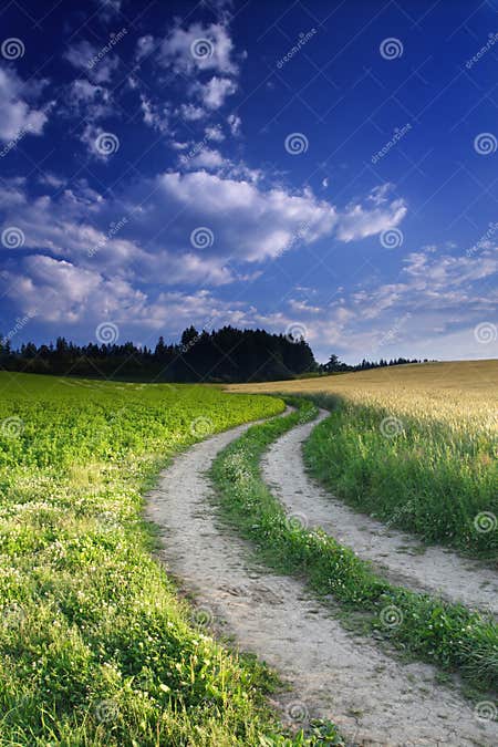 Field Winding Way stock image. Image of jaunt, nature - 2633839