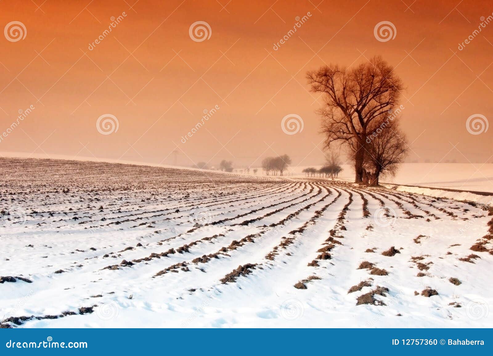 Field in Winter stock photo. Image of dormant, farm, weather - 12757360