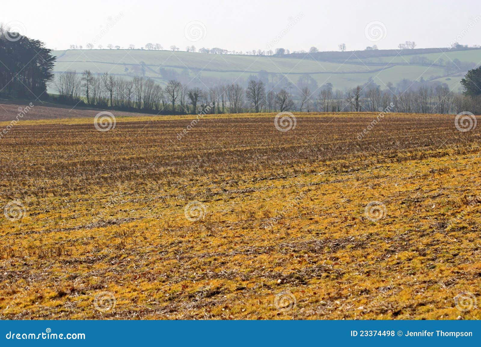Field in winter stock photo. Image of track, field, trees - 23374498