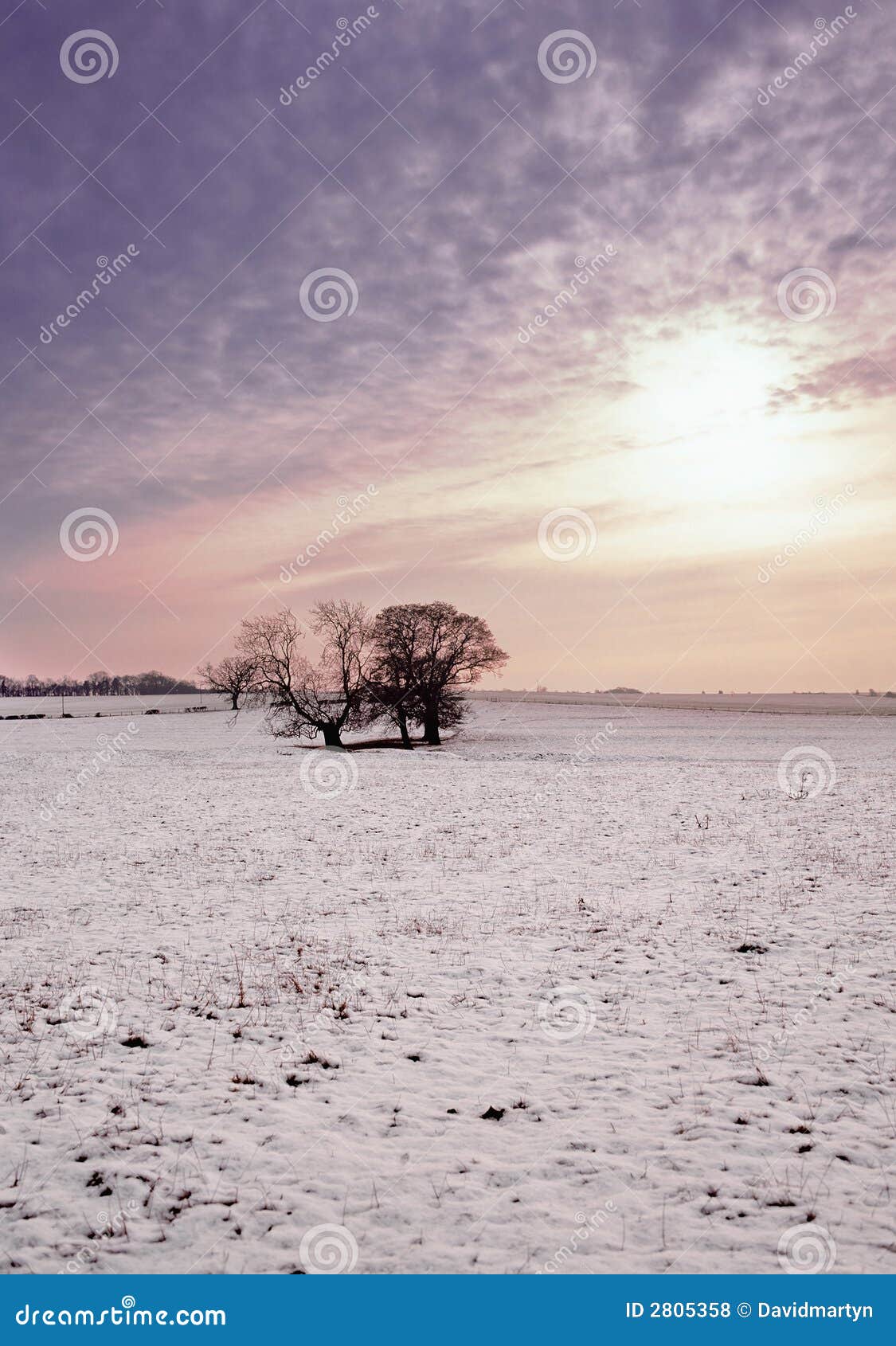 Field in winter stock photo. Image of empty, country, isolated - 2805358