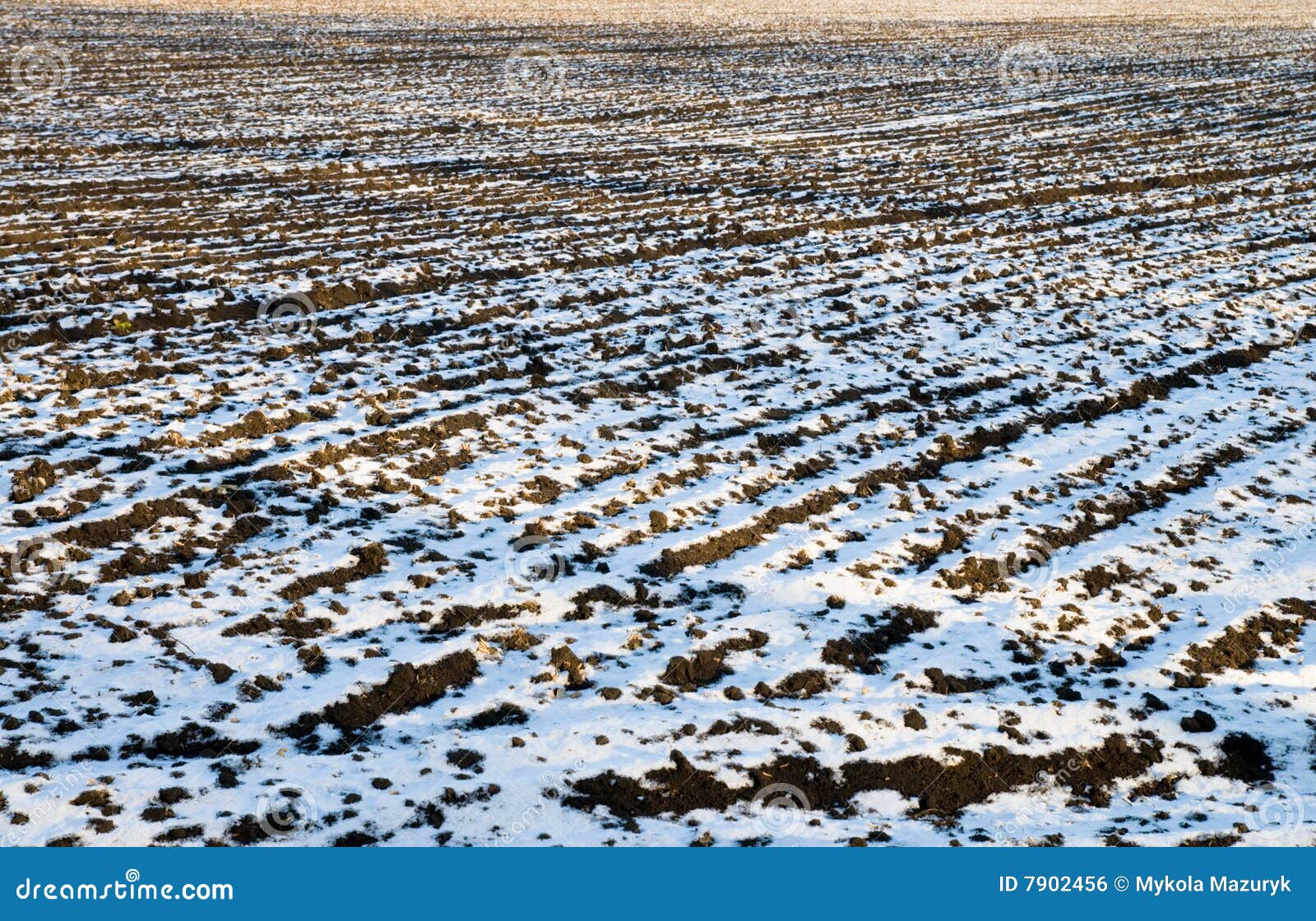 Field in winter stock photo. Image of weather, natural - 7902456