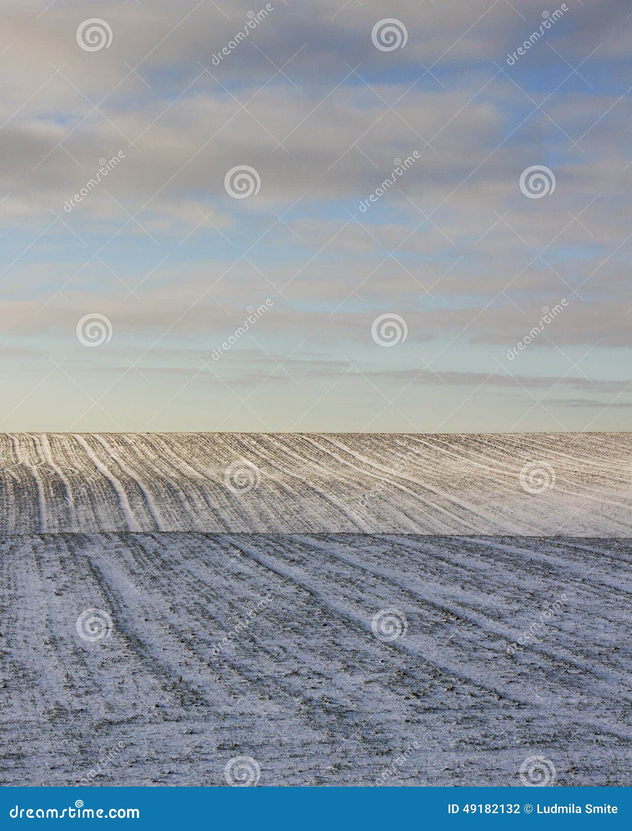 Field in a winter. stock photo. Image of nature, outdoor - 49182132