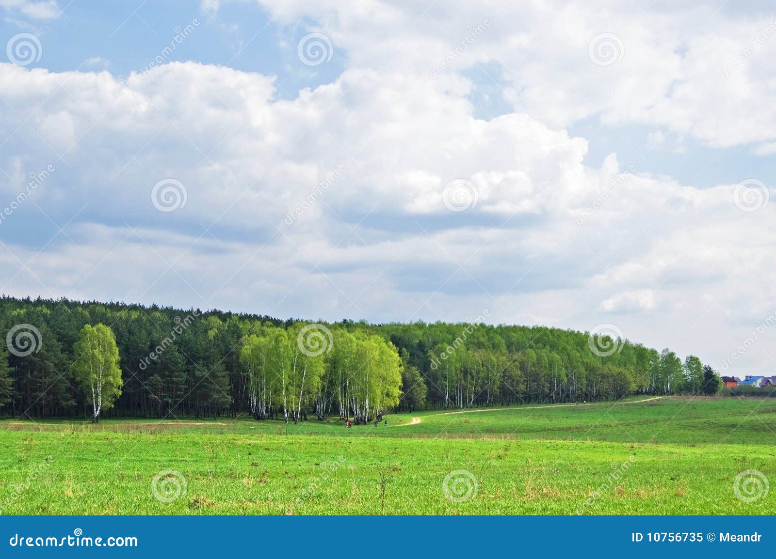Field and Wood in the Distance Stock Image - Image of background ...