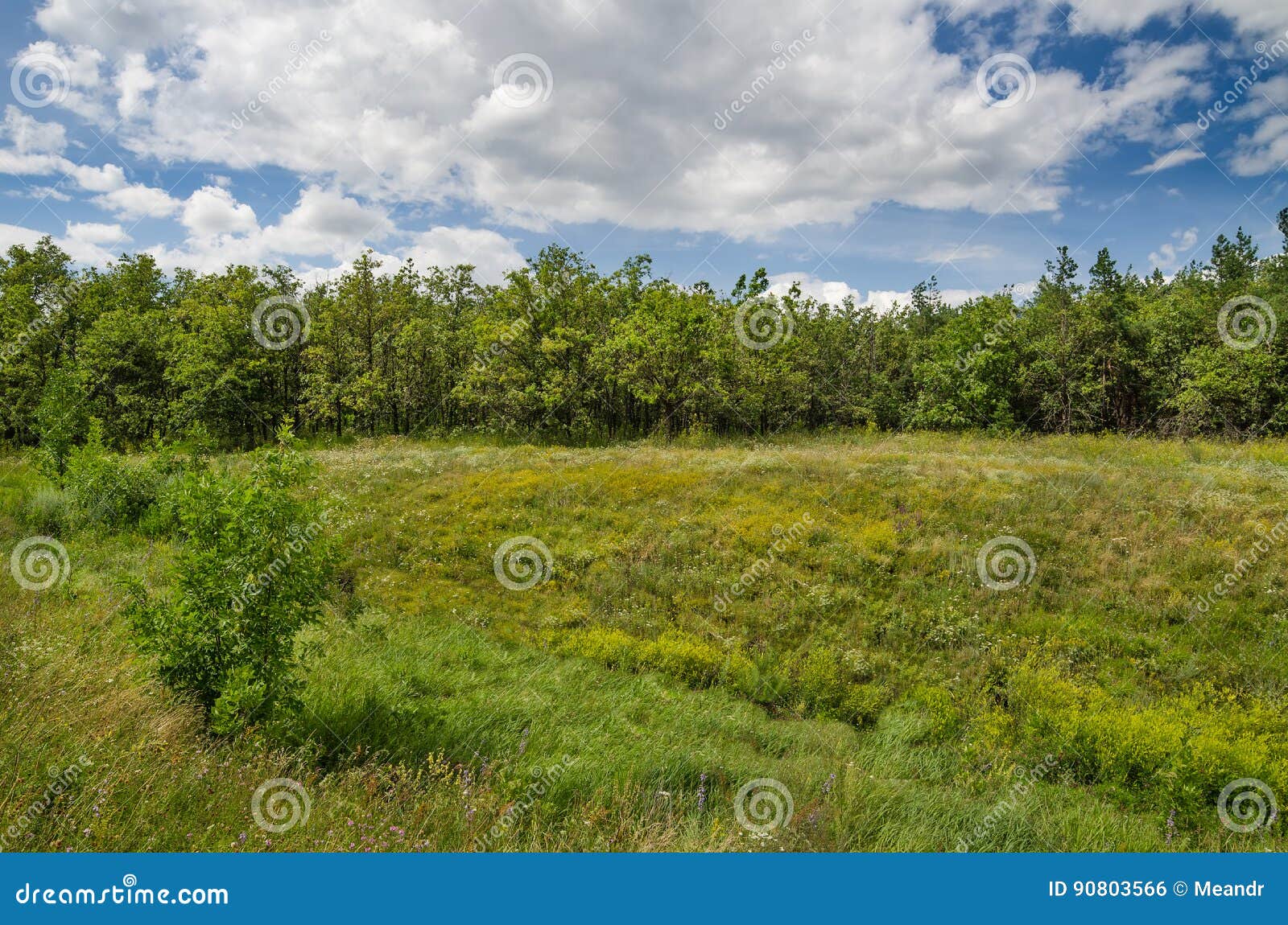 Field and wood stock photo. Image of hills, background - 90803566