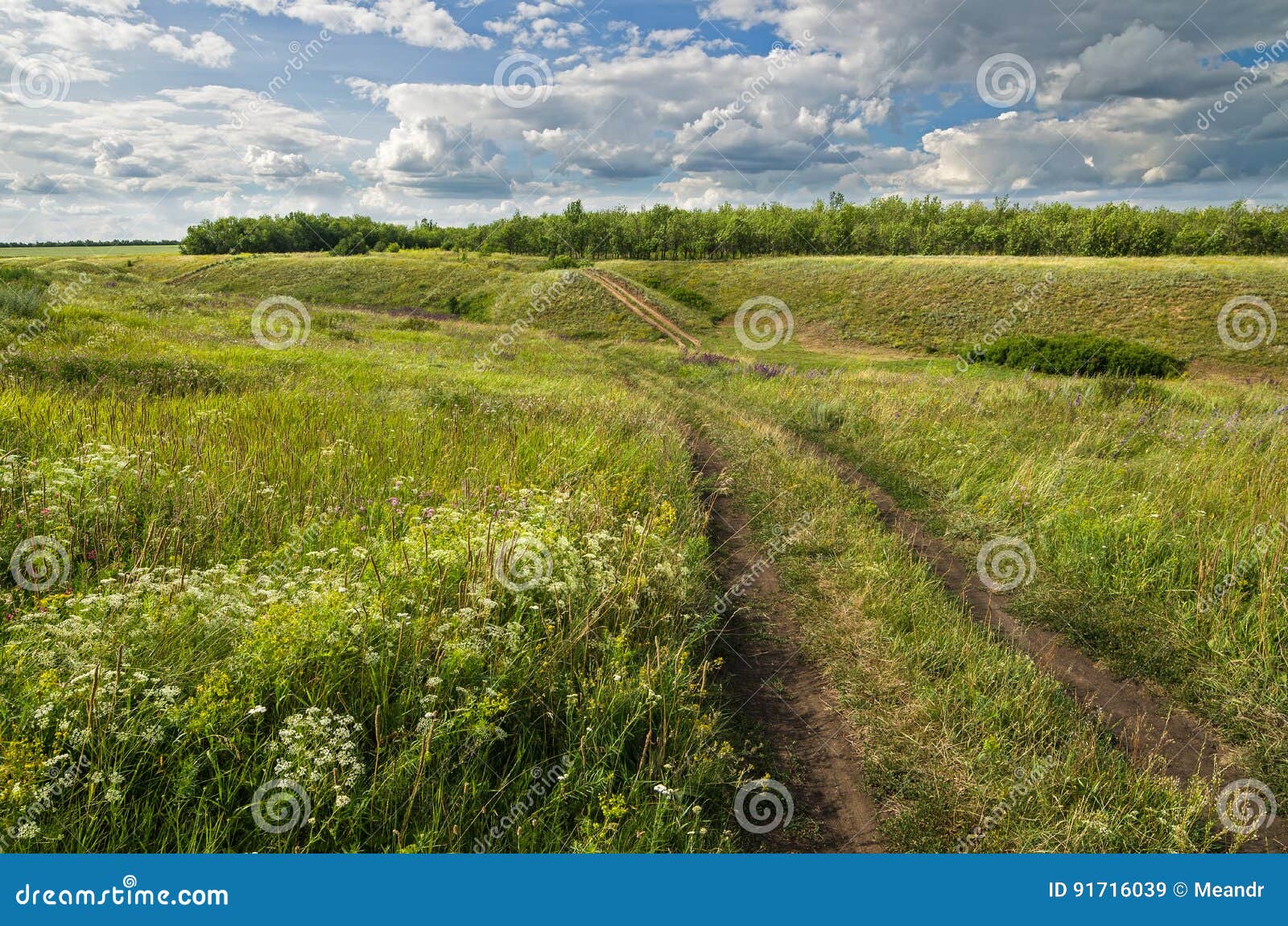 Field and wood stock image. Image of landscape, agriculture - 91716039