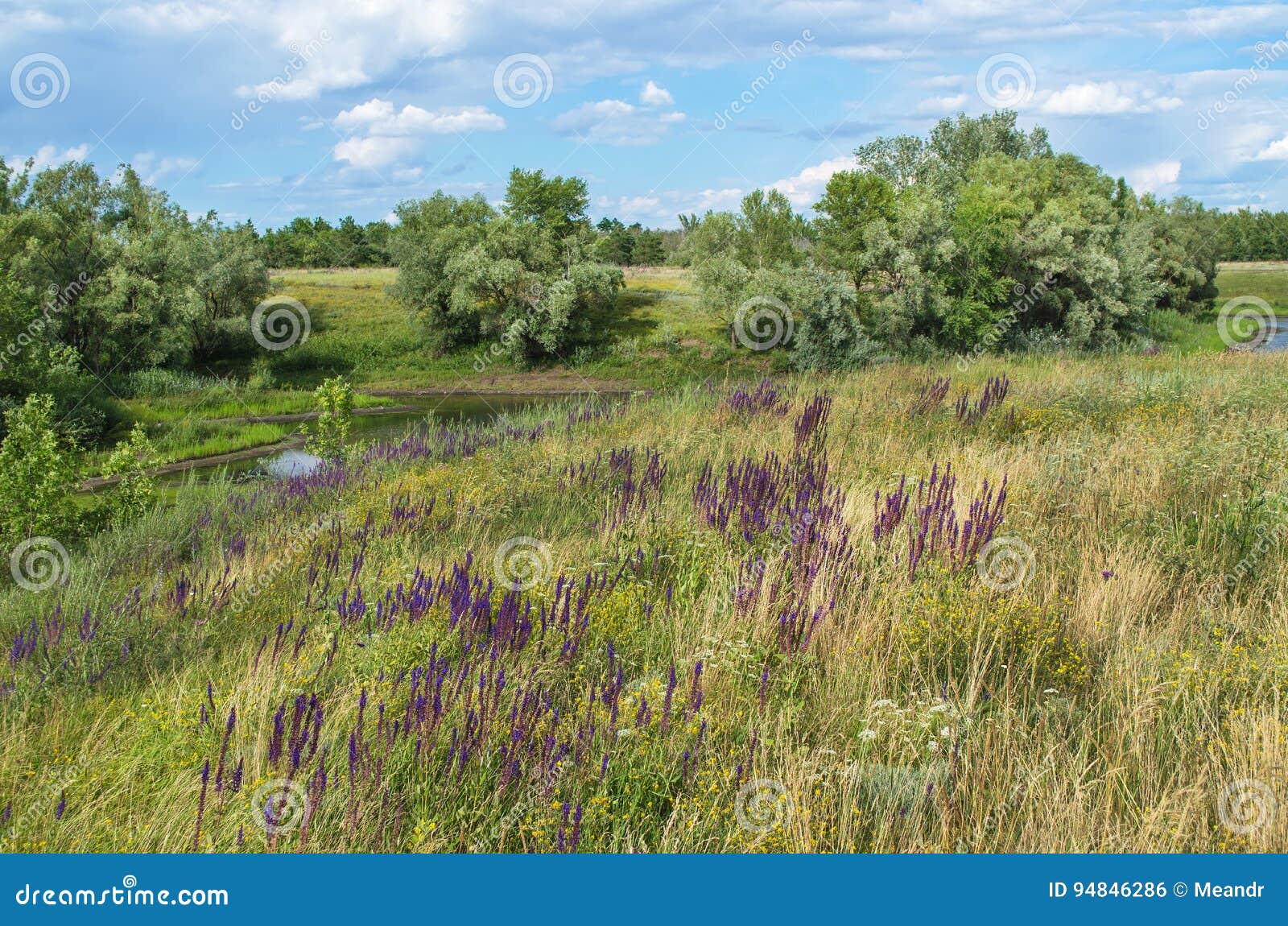 Field and wood stock photo. Image of horizon, natural - 94846286