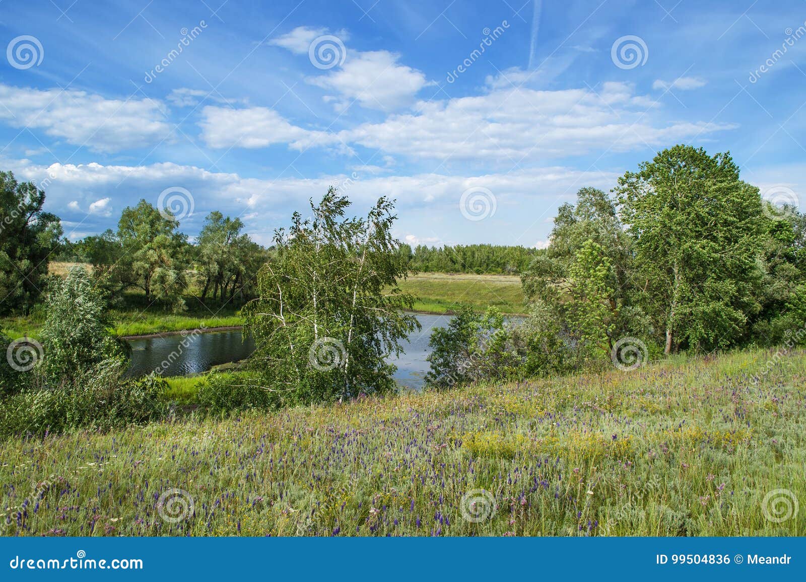 Field and wood stock photo. Image of serene, plains, rural - 99504836