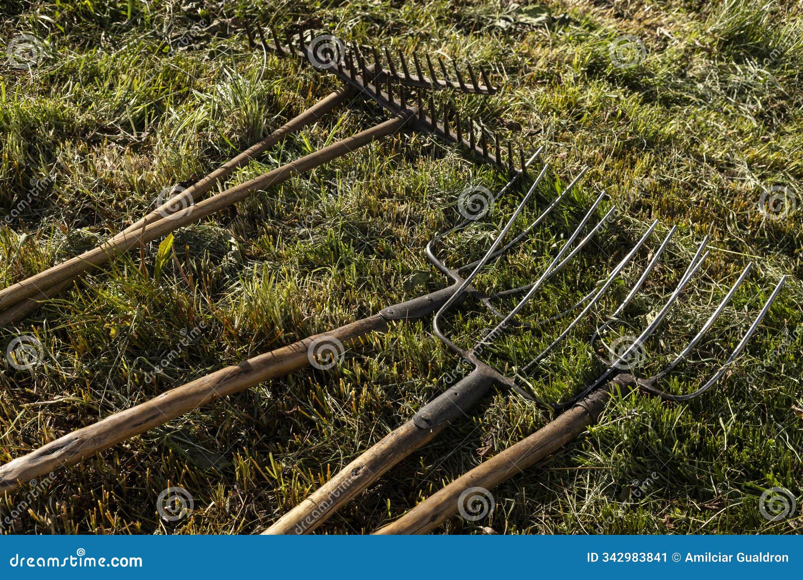 Field Work Tool Set of Rakes and Sweepers Stock Image - Image of ...