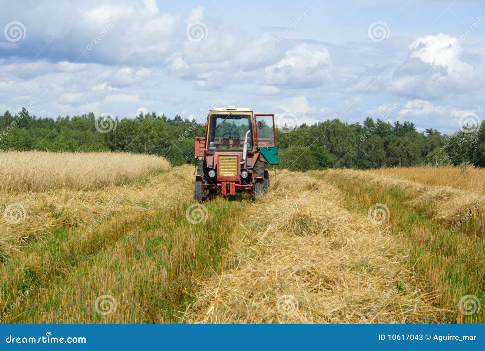 Field Works stock image. Image of nature, farmer, vegetable - 10617043
