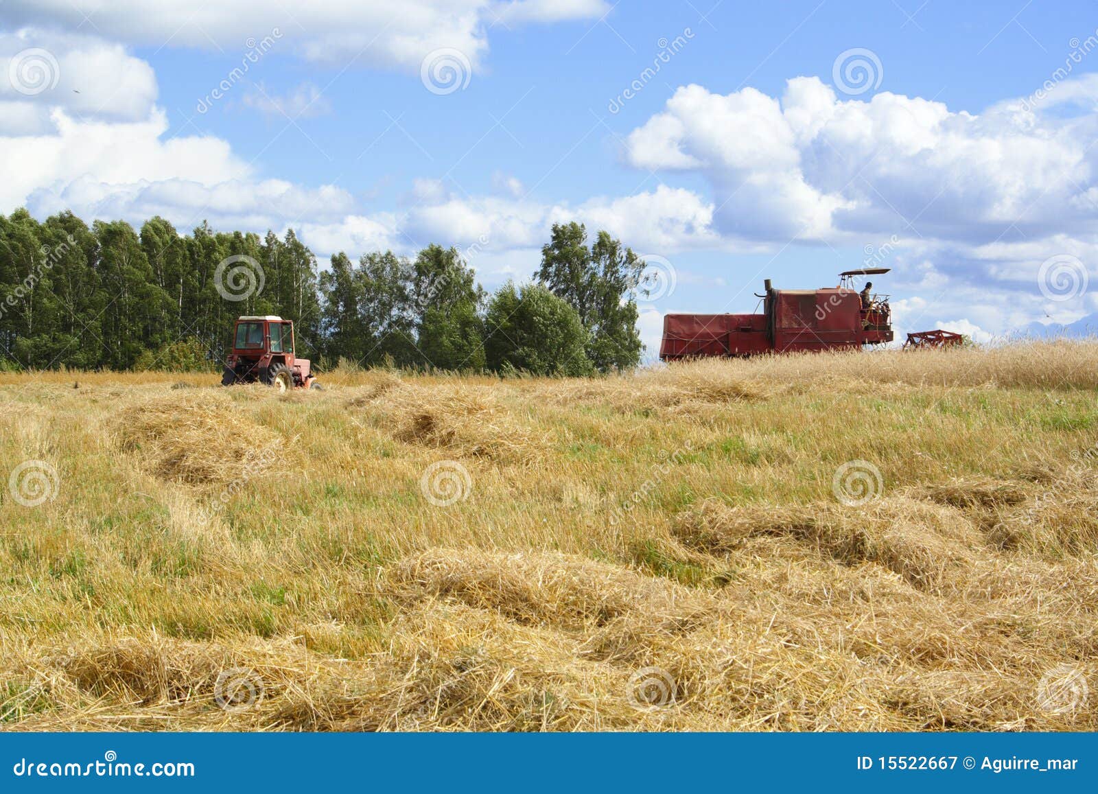 Field Works stock image. Image of grow, cereal, feed - 15522667