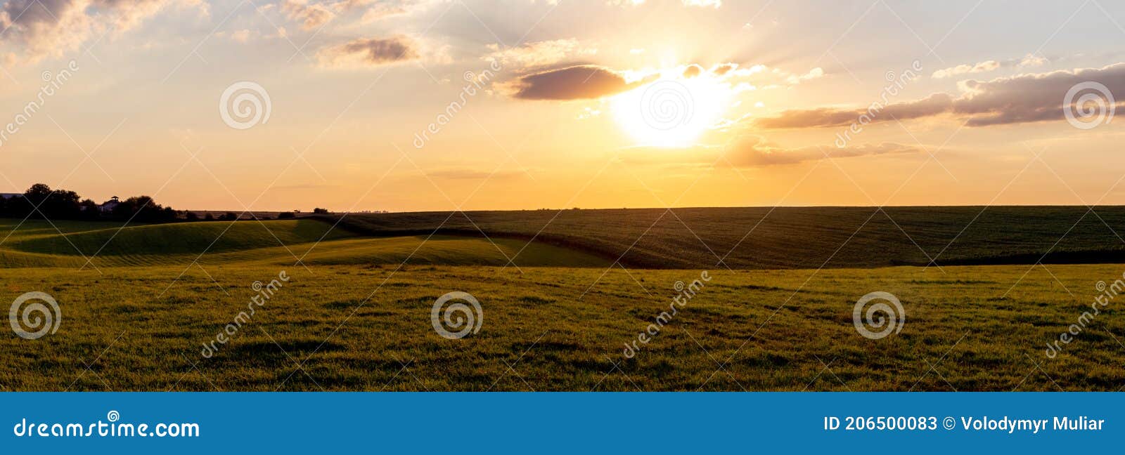 Field with Young Greenery during Sunset, Panorama Stock Image - Image ...
