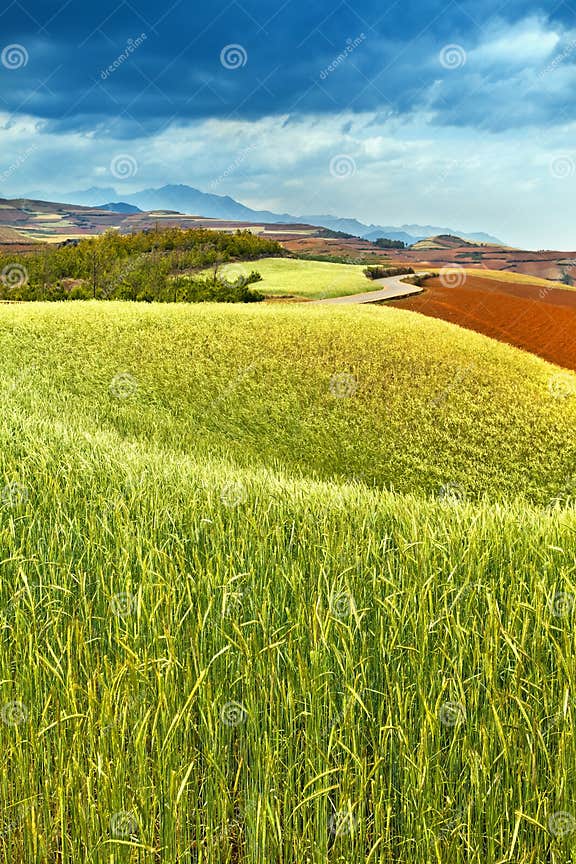 Fields stock image. Image of water, dream, determination - 19474863