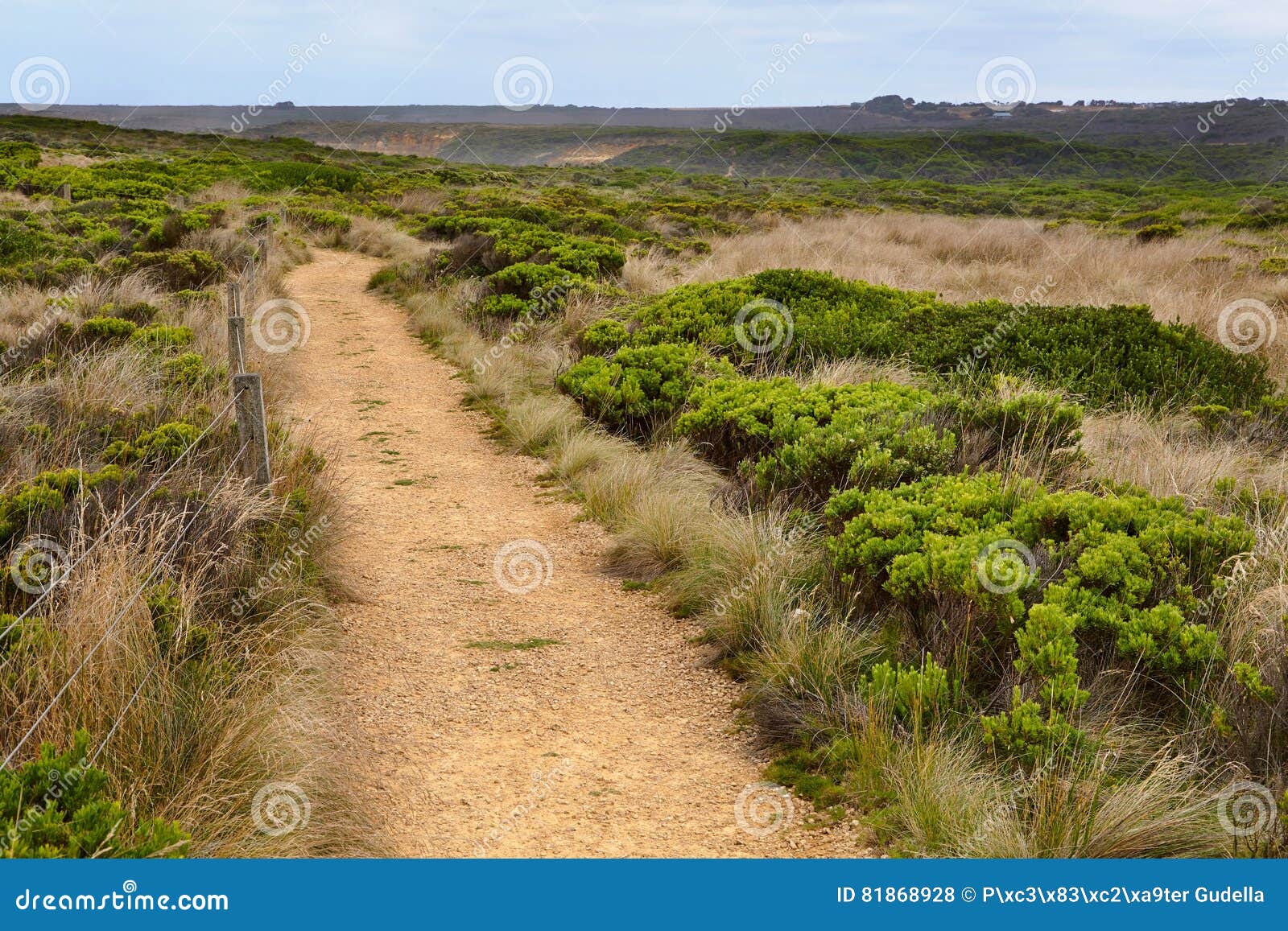 Fields of Australian Wild Landscape Stock Photo - Image of field ...