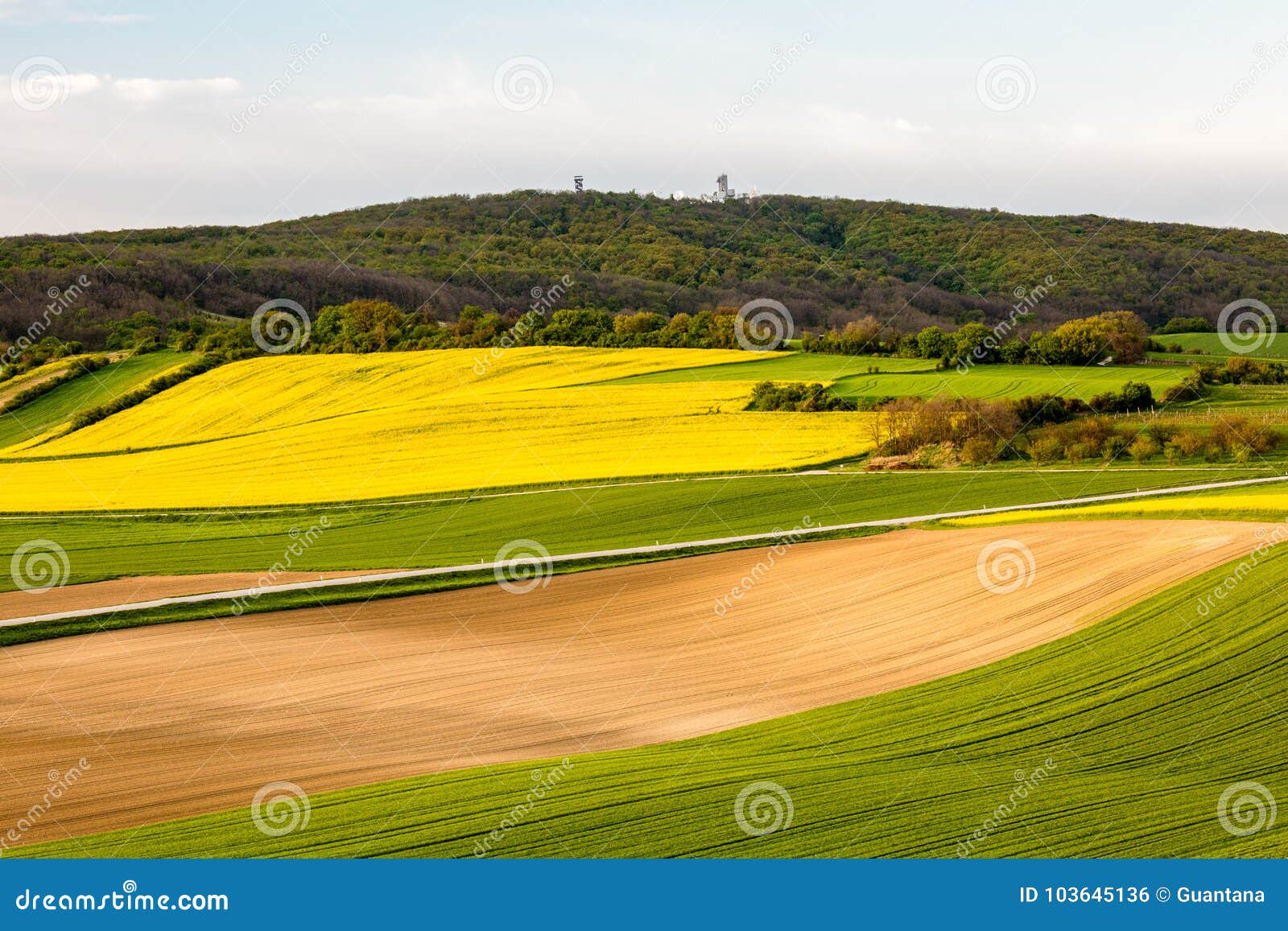 Fields in Austria Landscape in Spring Stock Photo - Image of harvest ...