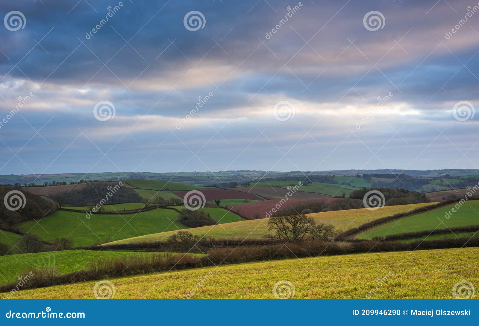 Fields of Berry Pomeroy Village in Devon, England Stock Photo - Image ...
