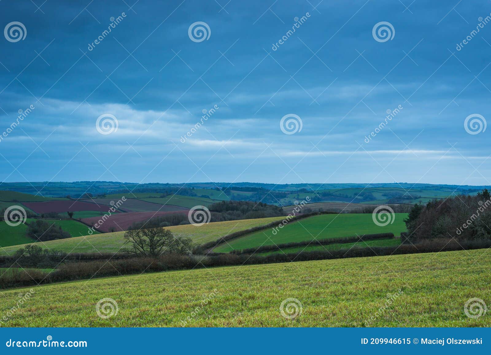 Fields of Berry Pomeroy Village in Devon, England Stock Image - Image ...