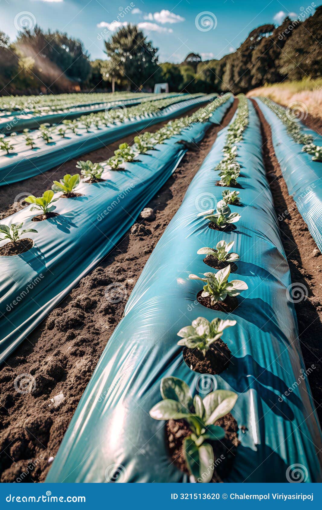 Enrich Cartoons, Illustrations & Vector Stock Images - 2180 Pictures to ...