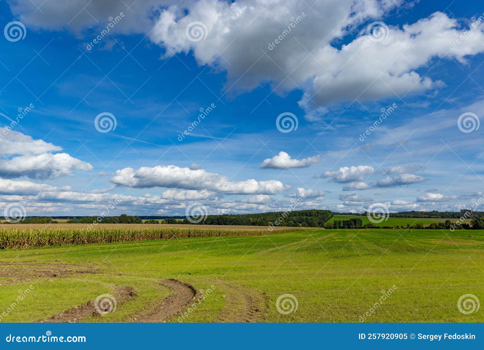 Fields and Blue Sky with Clouds. Autumn Landscape Stock Image - Image ...