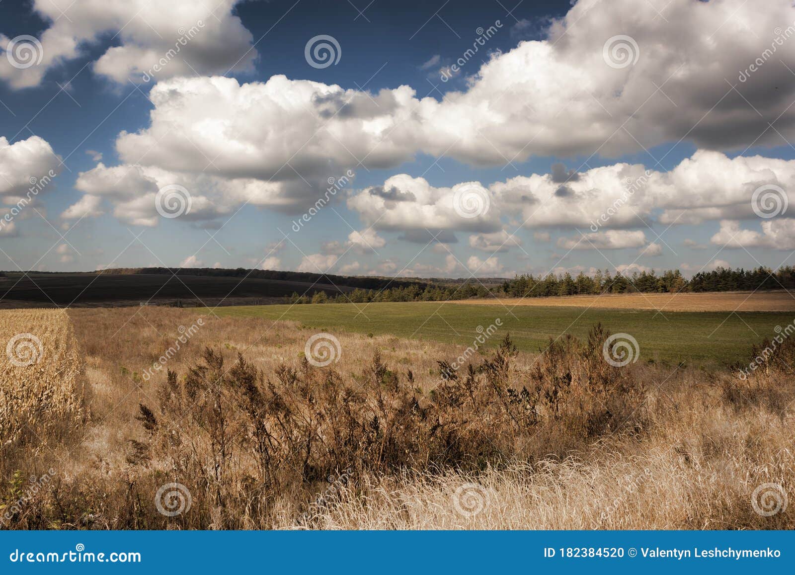 Fields on a Bright Fall Day Stock Photo - Image of outdoor, agriculture ...