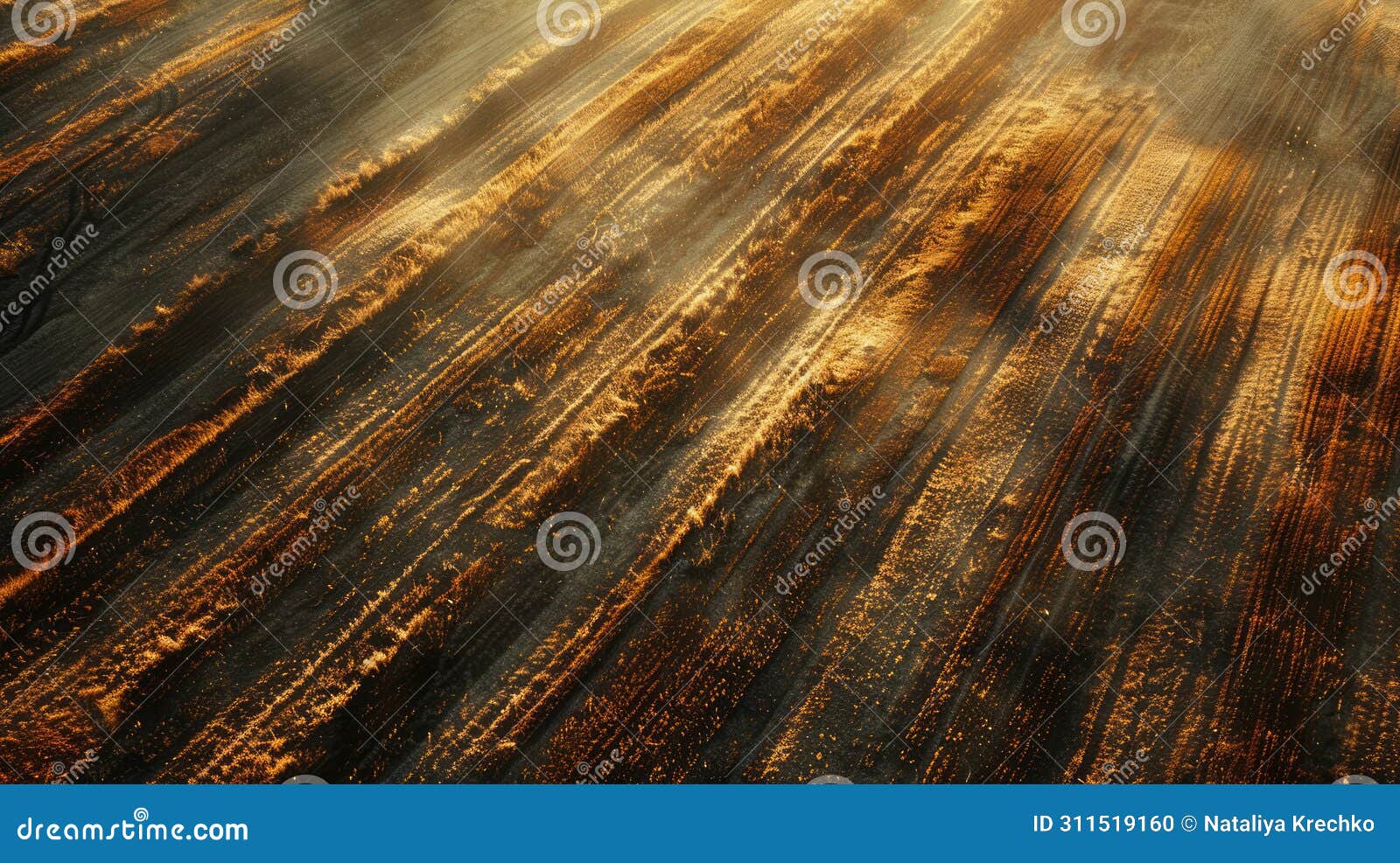 Fields Burnt Out by Sun Rays and High Temperatures Stock Photo - Image ...