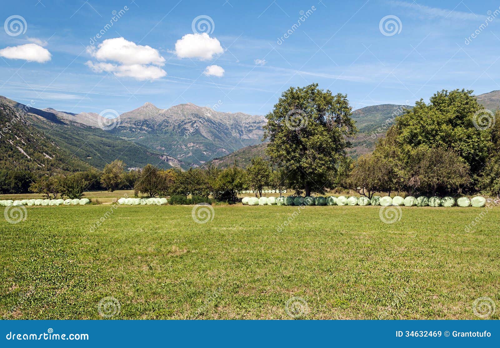 Fields of Castejon stock image. Image of mountains, gathering - 34632469