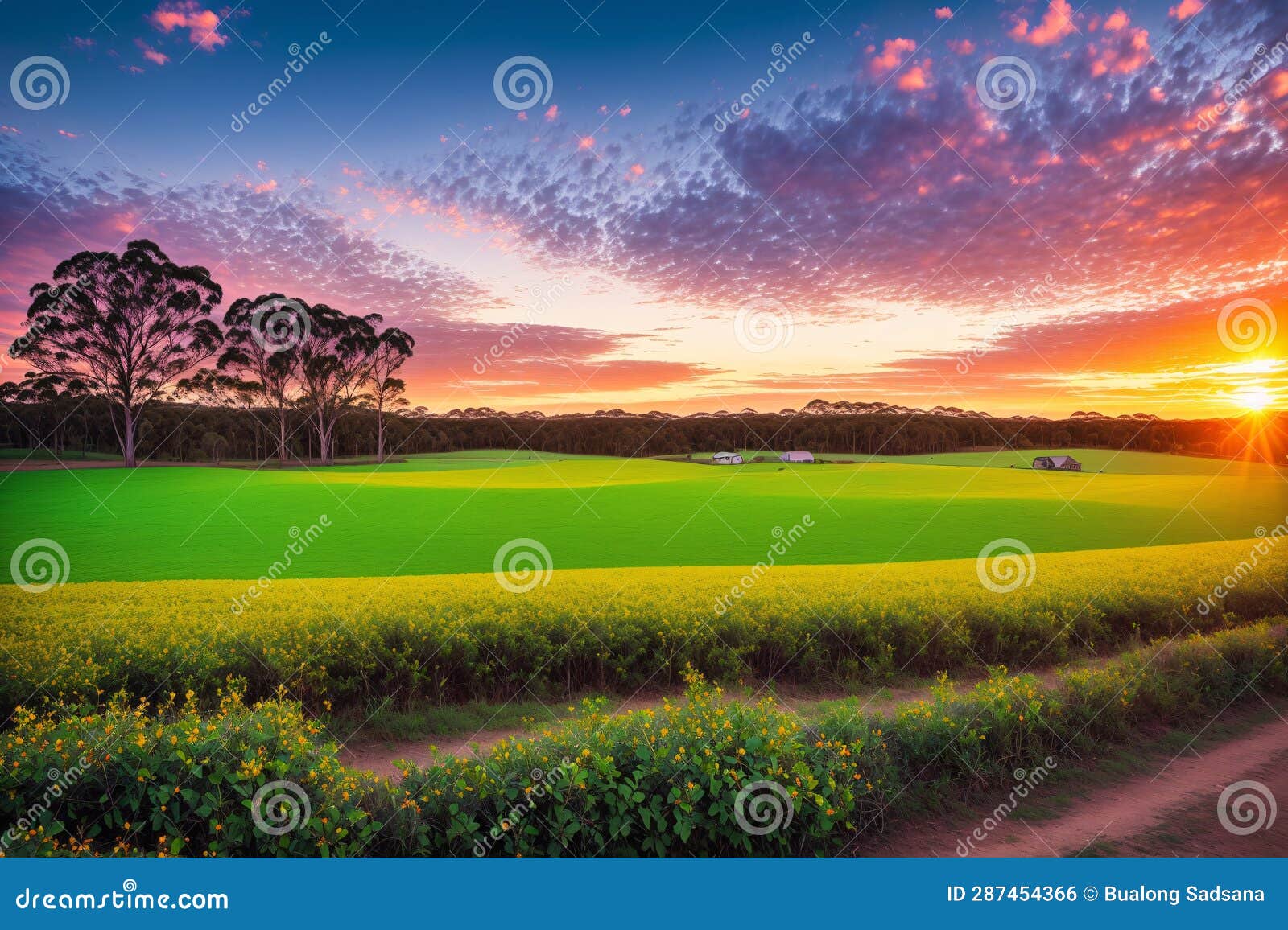 Fields of Color. stock illustration. Illustration of farm - 287454366