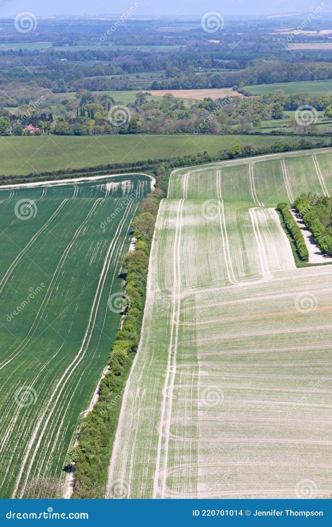 Fields from Combe Gibbet, Berkshire Stock Photo - Image of combe ...