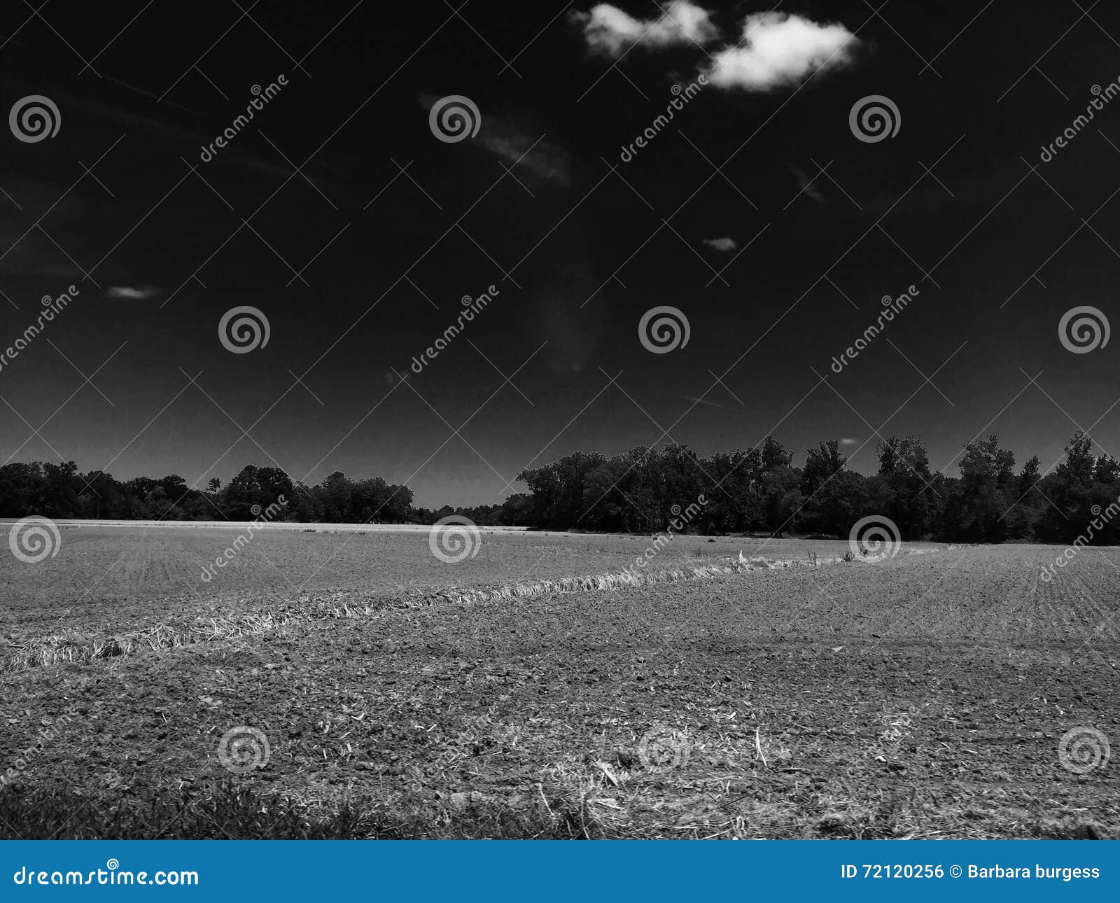 Fields stock photo. Image of fields, field, country, tree - 72120256