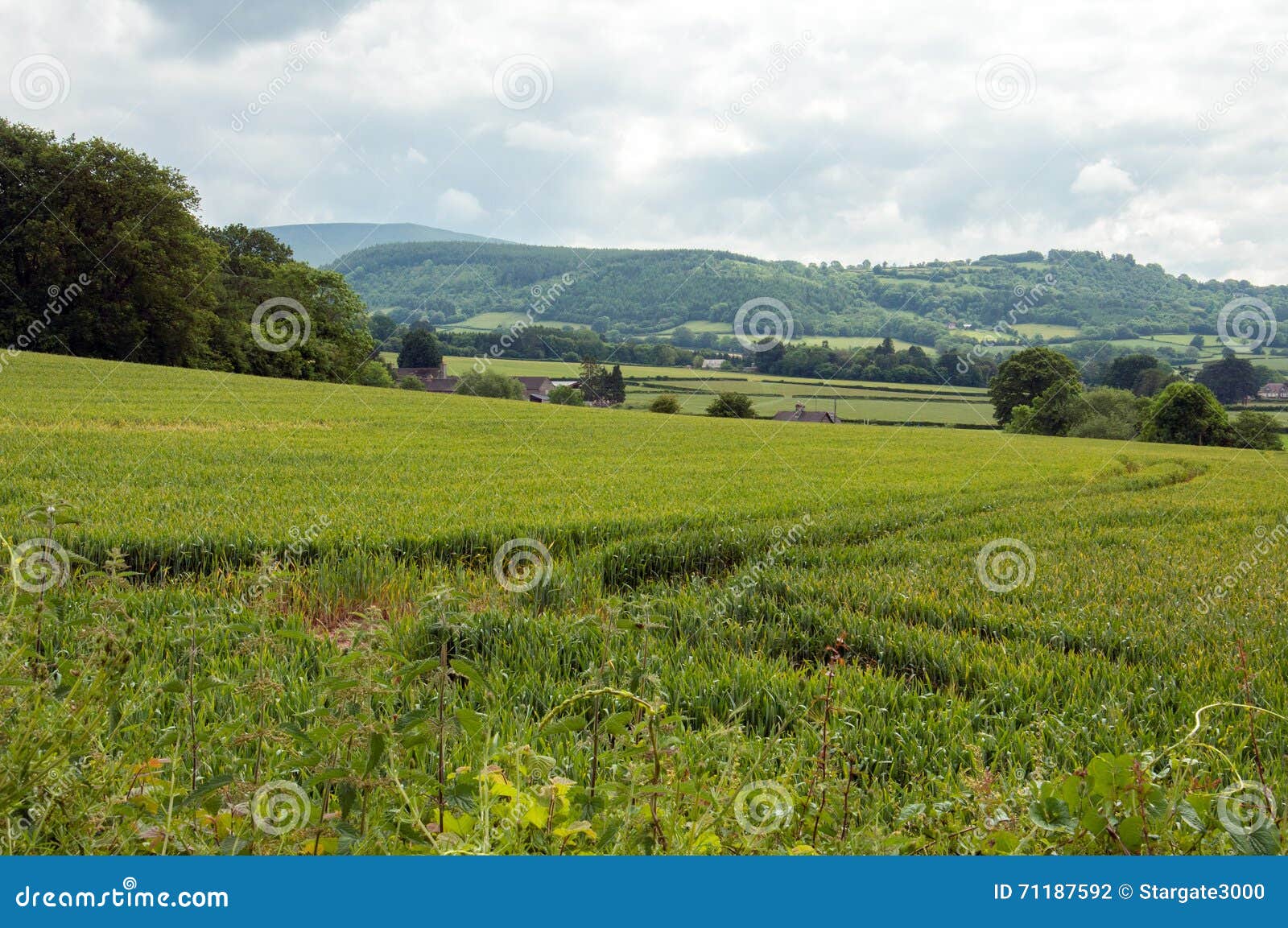 The Fields and Countryside of England Stock Photo - Image of farming ...