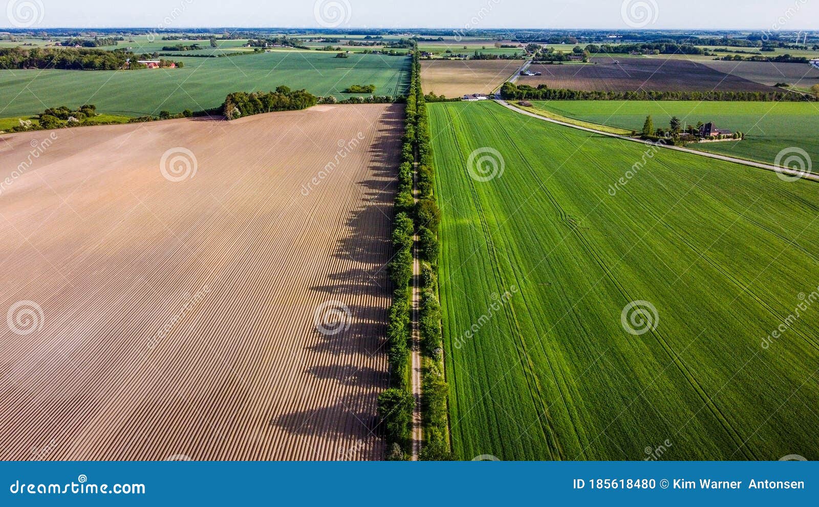 Fields in Denmark stock photo. Image of green, horizon - 185618480