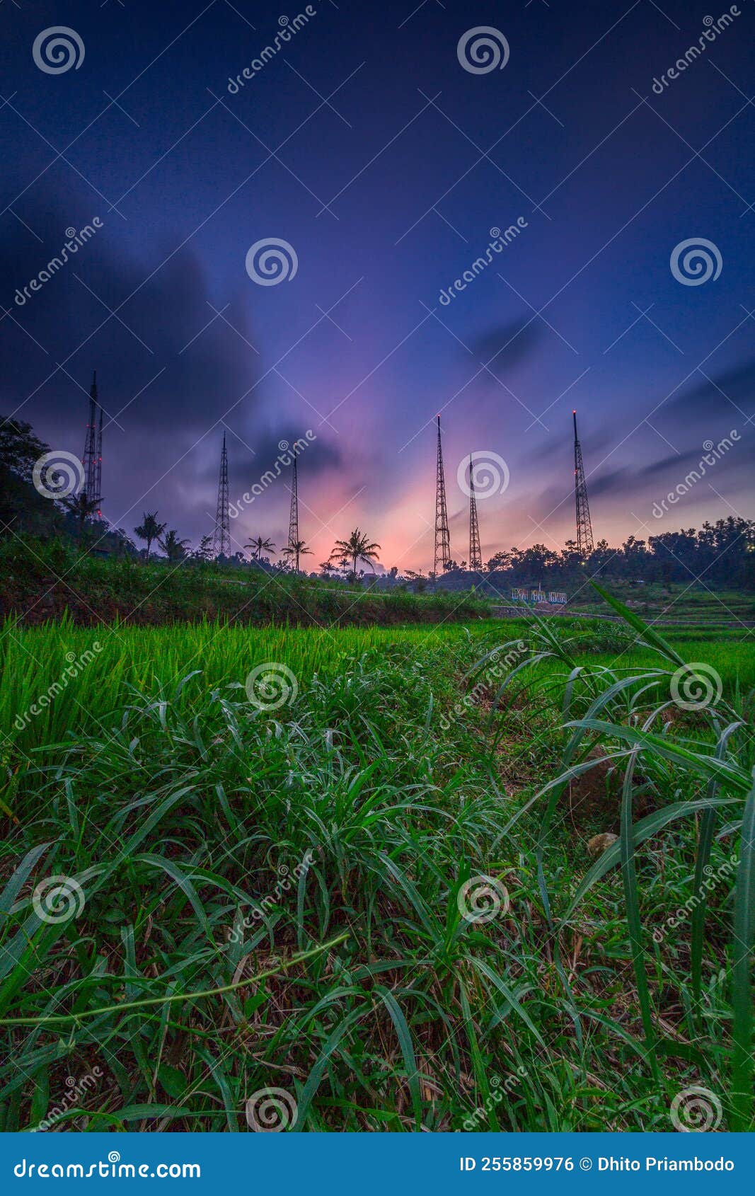 The Fields and the Dim Evening Sky Stock Photo - Image of sunset ...