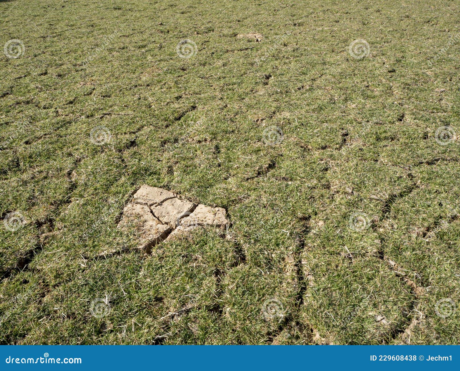 The Fields are Dry, the Ground is Broken and Grass Stock Photo - Image ...