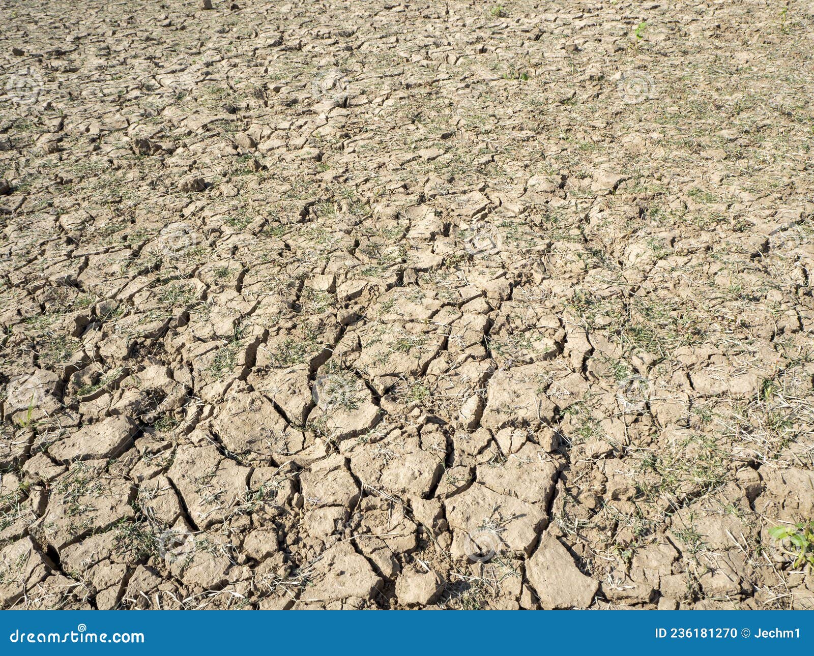 The Fields are Dry, the Ground is Broken and Grass Stock Photo - Image ...