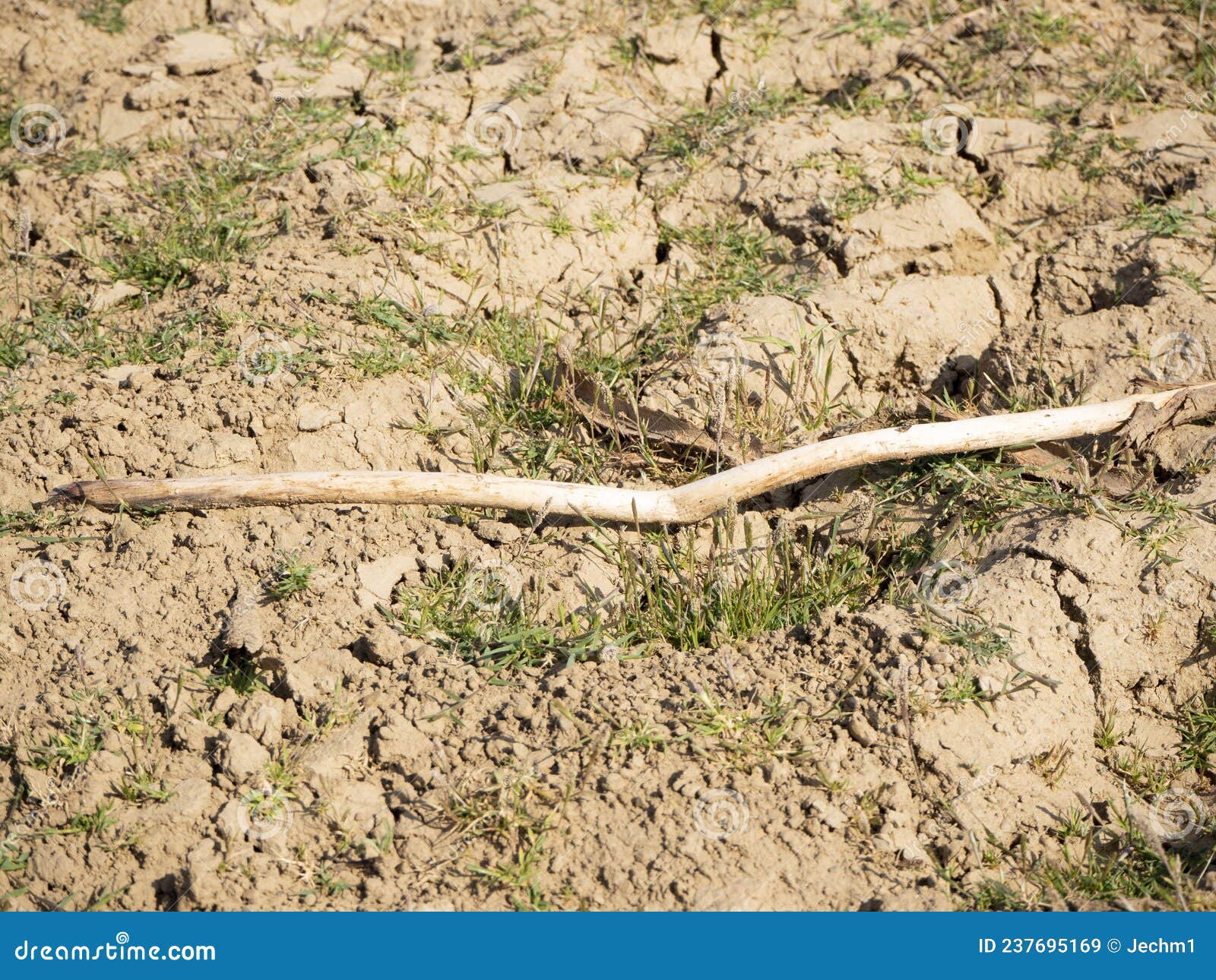 The Fields are Dry, the Ground is Broken and Grass Stock Image - Image ...