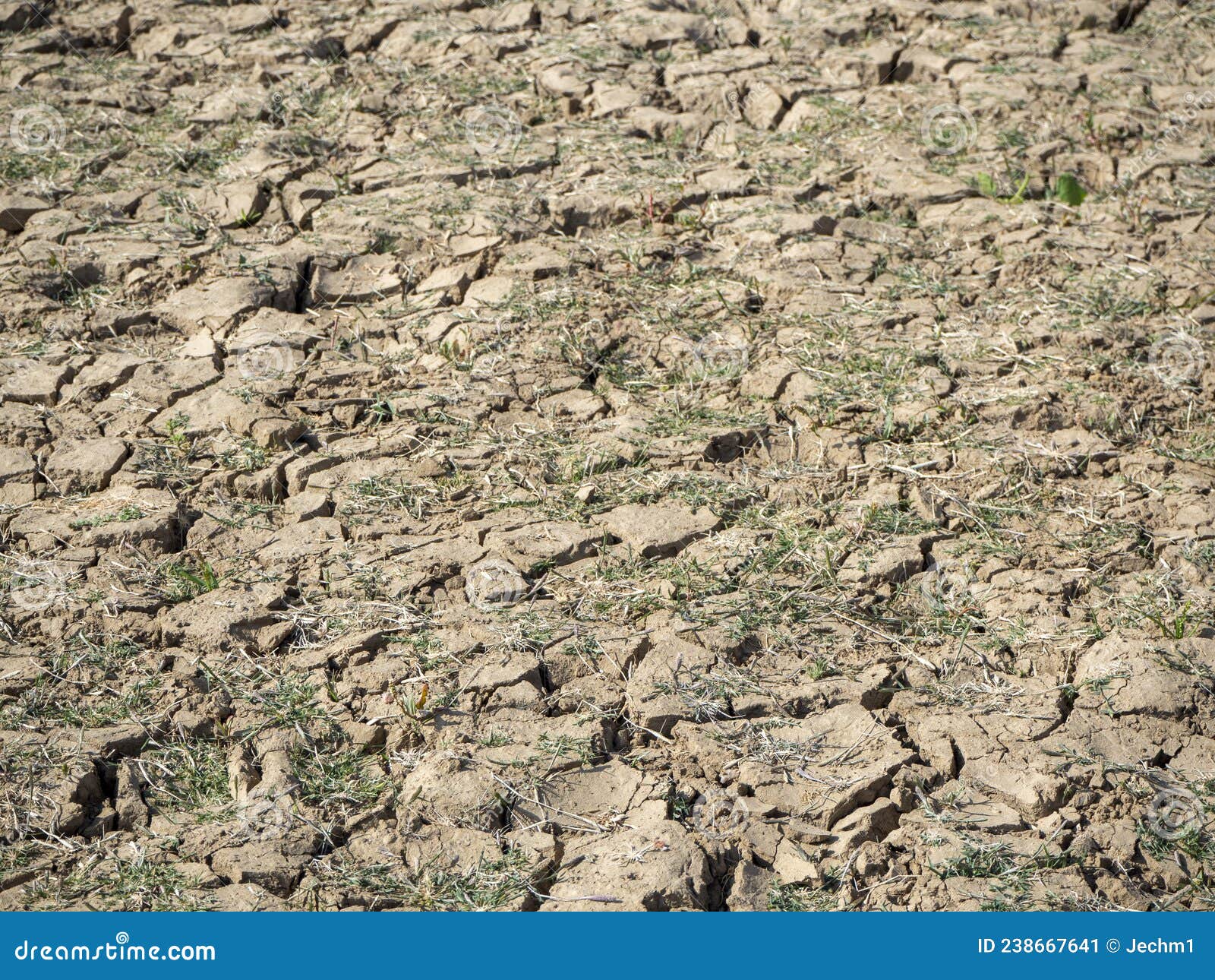 The Fields are Dry, the Ground is Broken and Grass Stock Image - Image ...