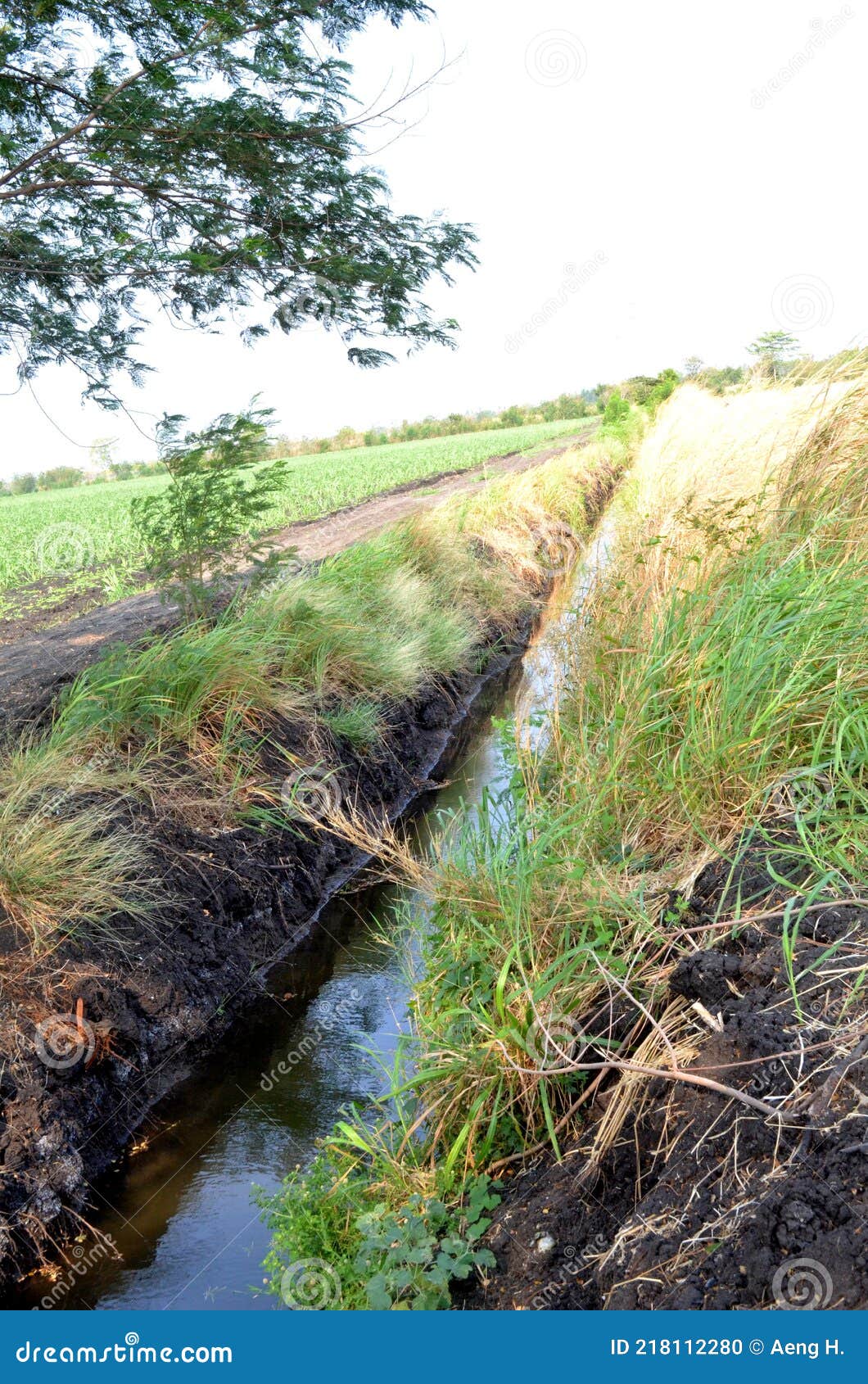 Dry fields. stock photo. Image of areas, lagoon, plots - 218112280
