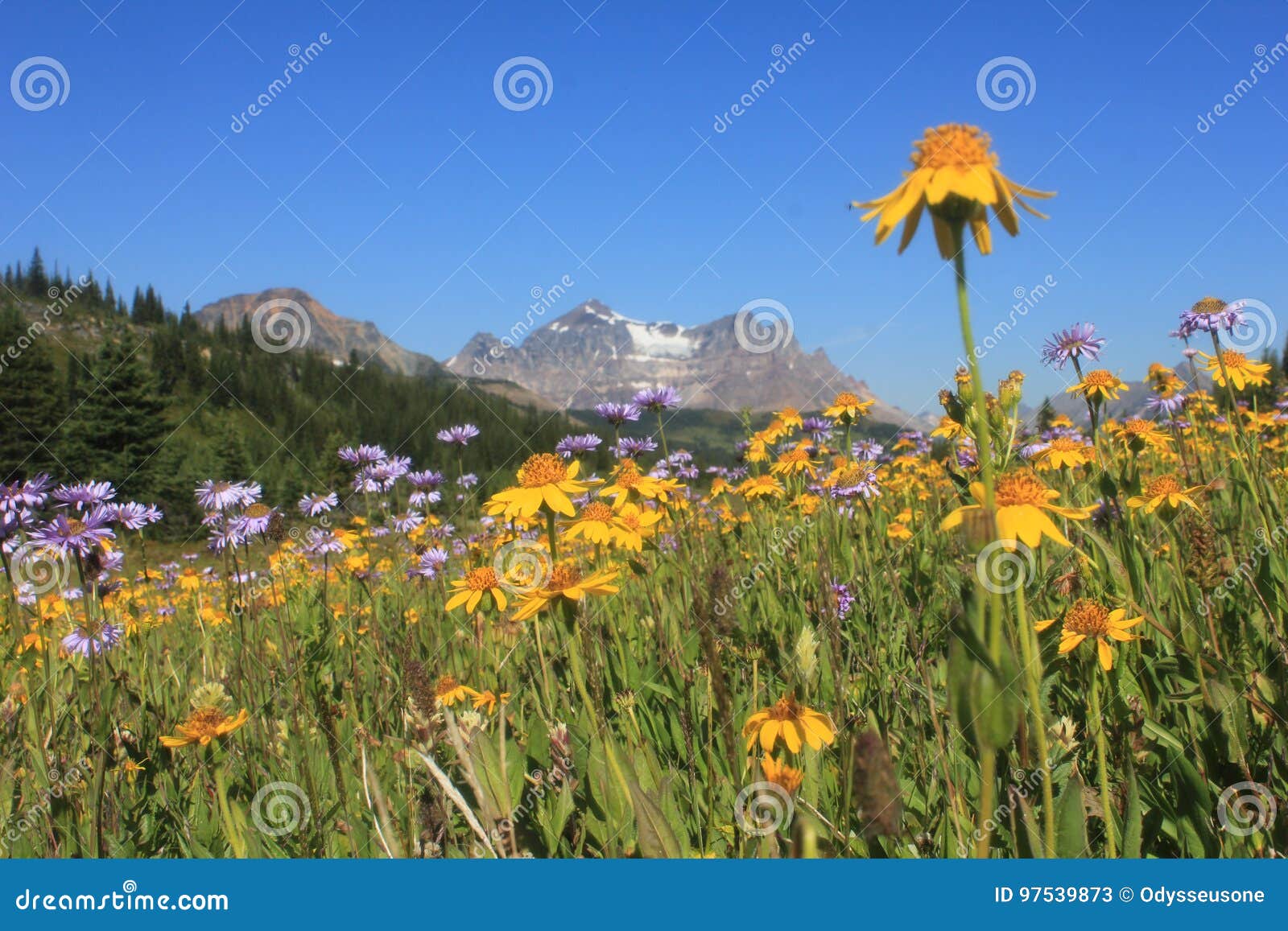 Fields of Elysium stock image. Image of pass, shot, mountain - 97539873