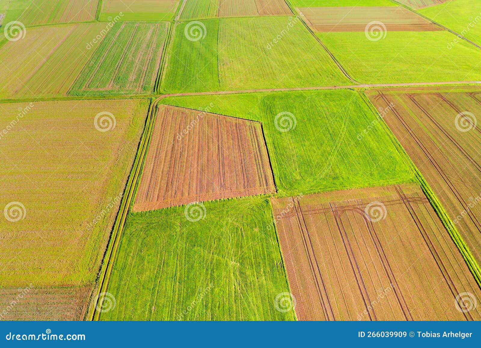 Fields in a Farming Landscape from Above Stock Image - Image of green ...