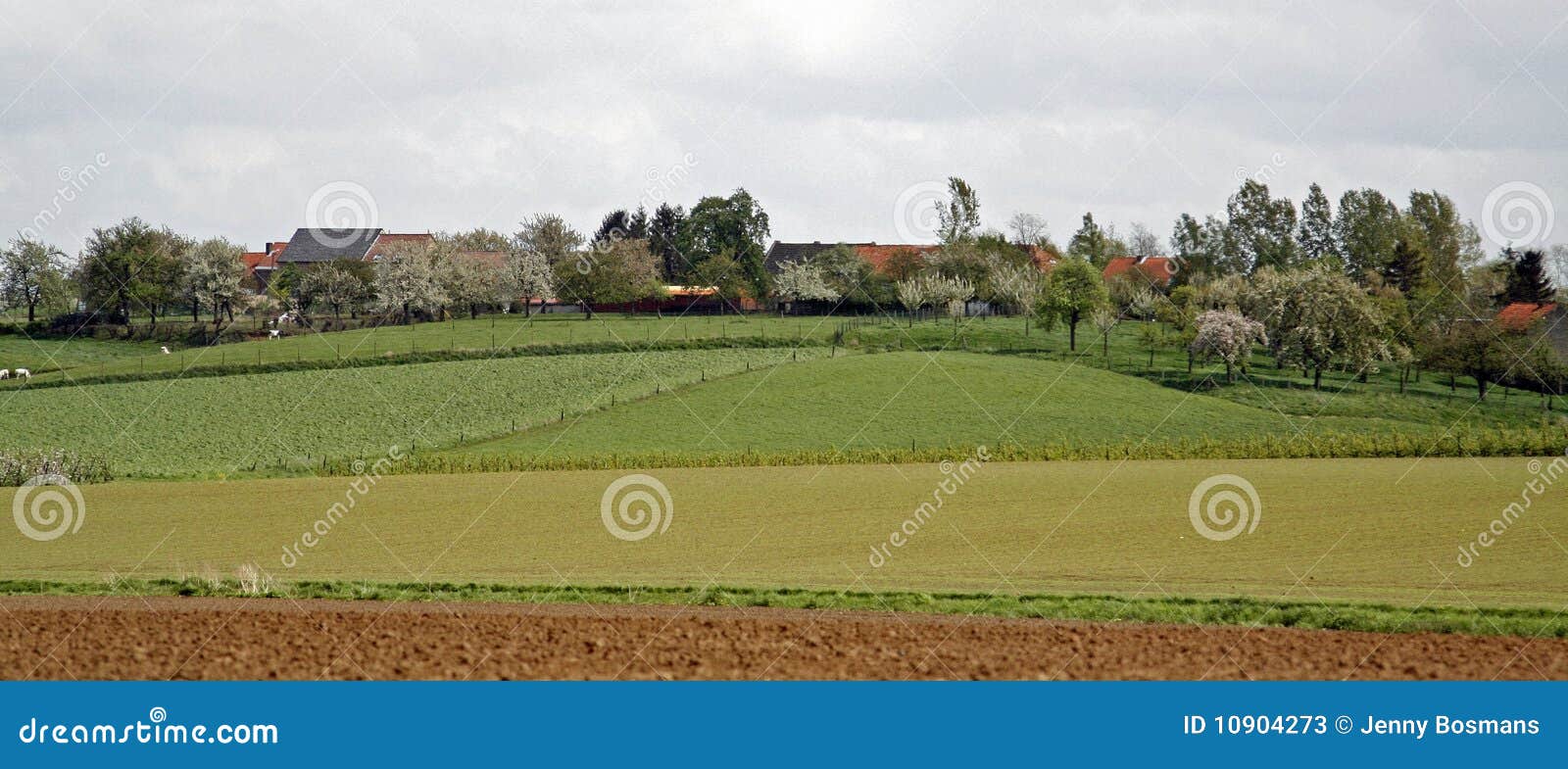 Fields and farms panorama stock image. Image of nature - 10904273