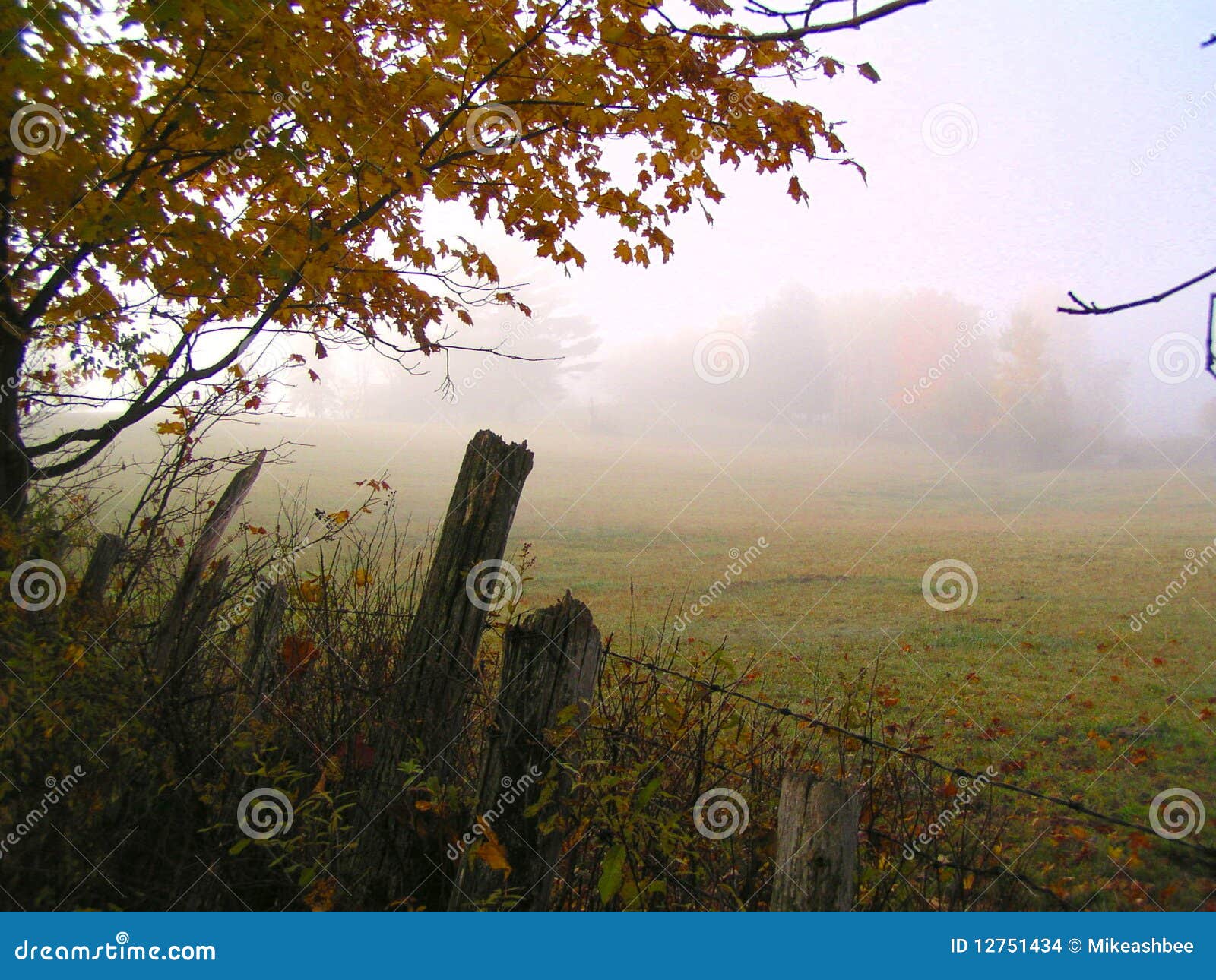 Fields in the fog stock photo. Image of autumn, field - 12751434