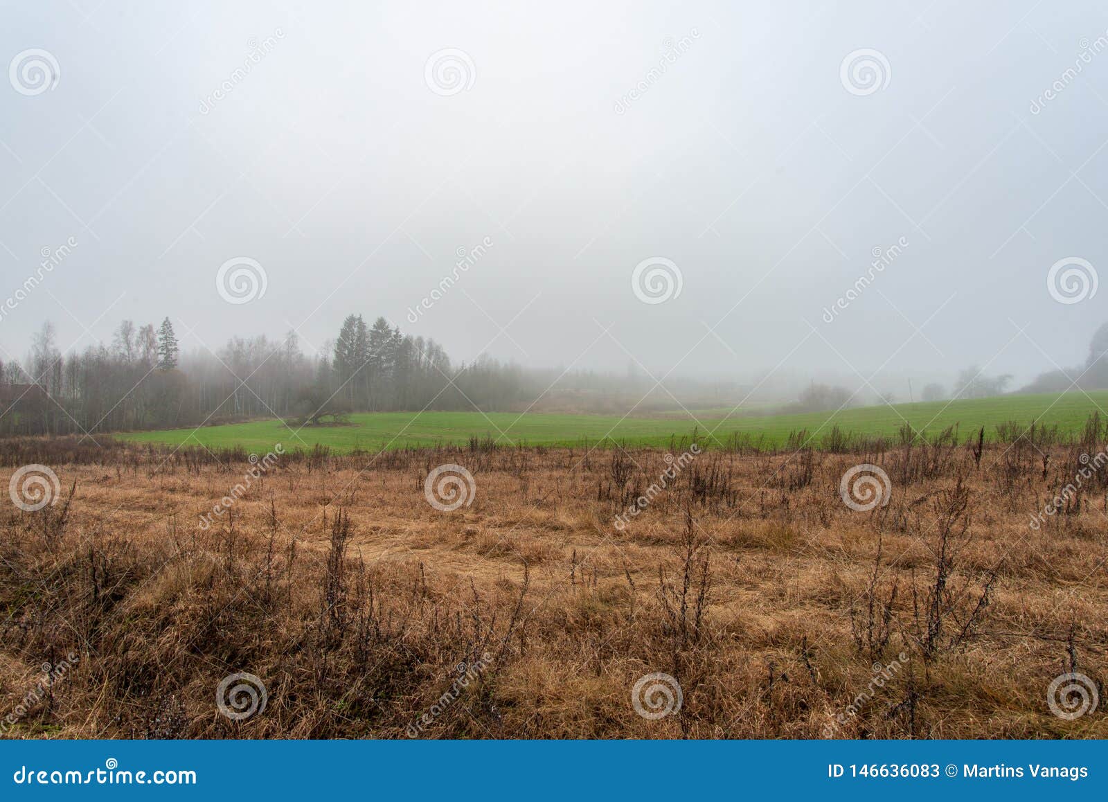 Fields and Forests Covered in Mist in Late Autumn Stock Image - Image ...