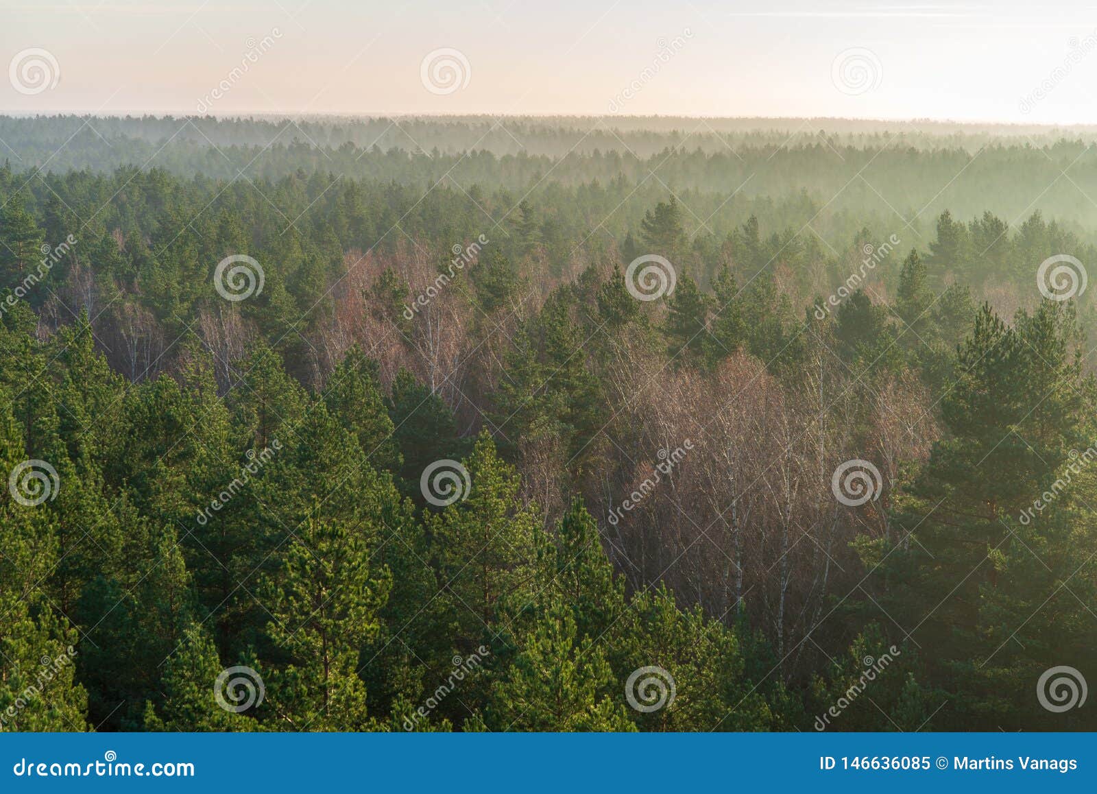 Fields and Forests Covered in Mist in Late Autumn Stock Image - Image ...