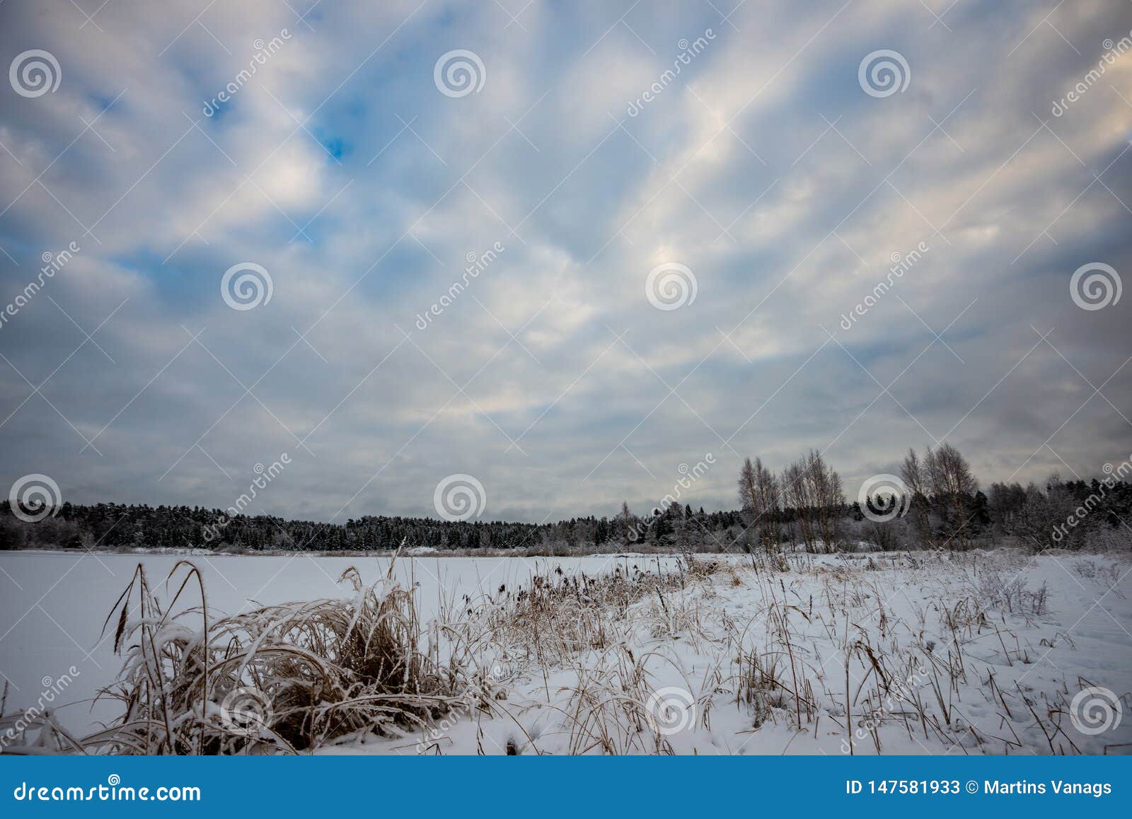 Fields and Forests Covered in Snow in Winter Frost Stock Image - Image ...