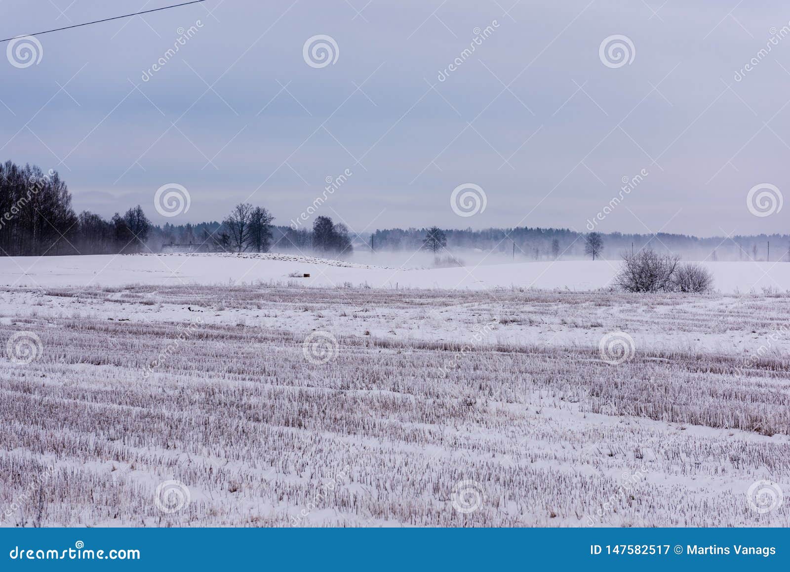 Fields and Forests Covered in Snow in Winter Frost Stock Image - Image ...