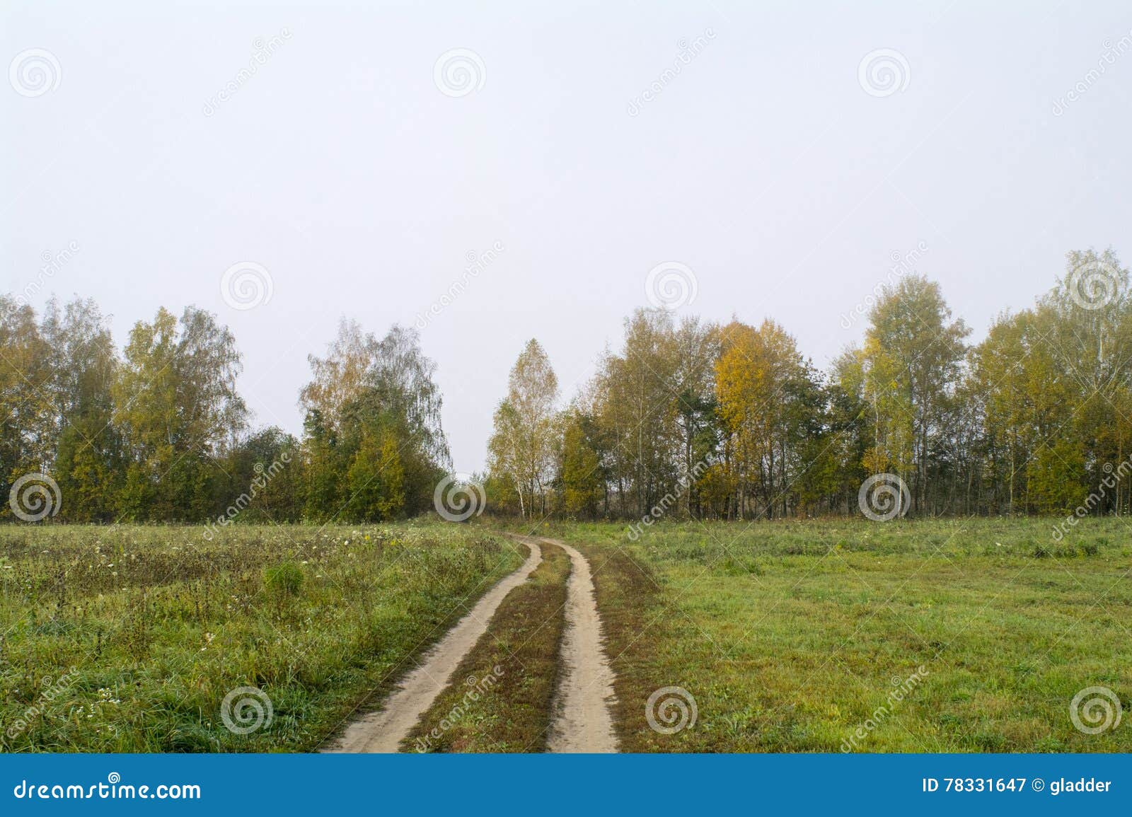 Fields and Forests in the Fall in Central Russia - Country Road Running ...