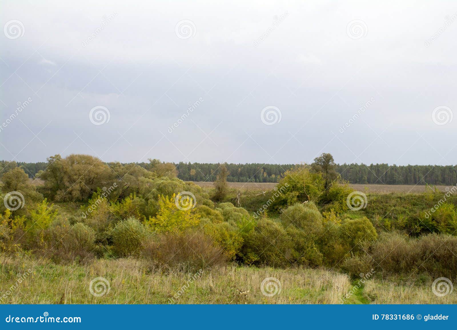 Fields and Forests in the Fall in Central Russia - the Upper Reaches of ...