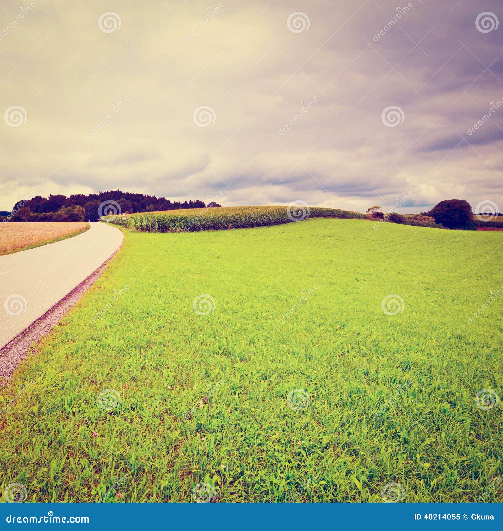 Fields in Germany stock image. Image of land, farming - 40214055