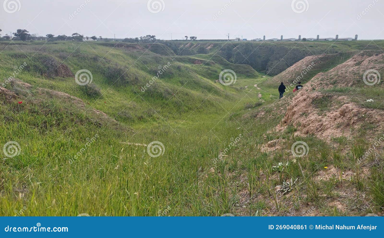 Fields of Green Hills in Nature in Southwest Israel Stock Image - Image ...